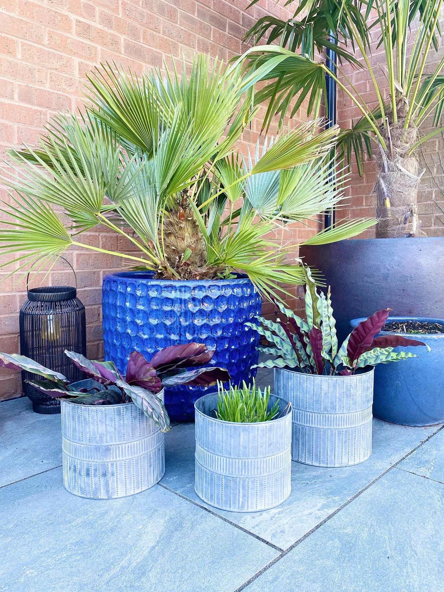 Outdoor Planters | Charlotte Rose Interiors